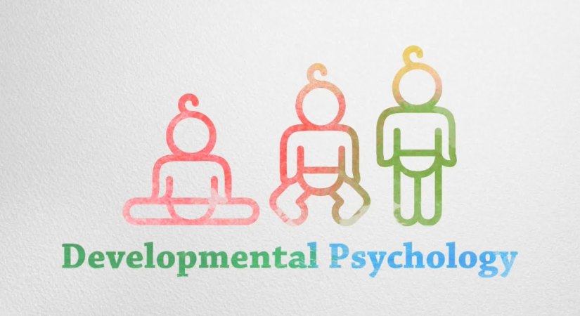 27 Developmental Psychology Research Topics You Can Choose Today - 澳大利亚 ...